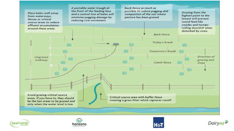Winter Grazing Guidance – H&T
